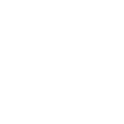 Simulated Universe: Unknowable Domain Highlights Page