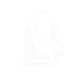 Simulated Universe: Unknowable Domain Highlights Page