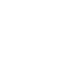 Simulated Universe: Unknowable Domain Highlights Page