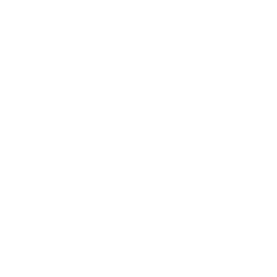 Simulated Universe: Unknowable Domain Highlights Page