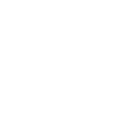 Simulated Universe: Unknowable Domain Highlights Page