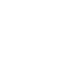 Simulated Universe: Unknowable Domain Highlights Page