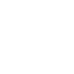 Simulated Universe: Unknowable Domain Highlights Page