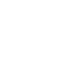 Simulated Universe: Unknowable Domain Highlights Page