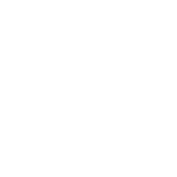 Simulated Universe: Unknowable Domain Highlights Page